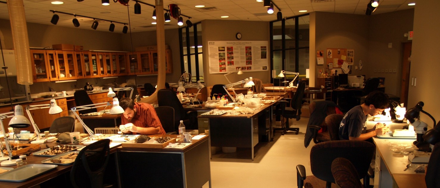 Episode 1 – The Field of Paleontology – The Common Descent Podcast