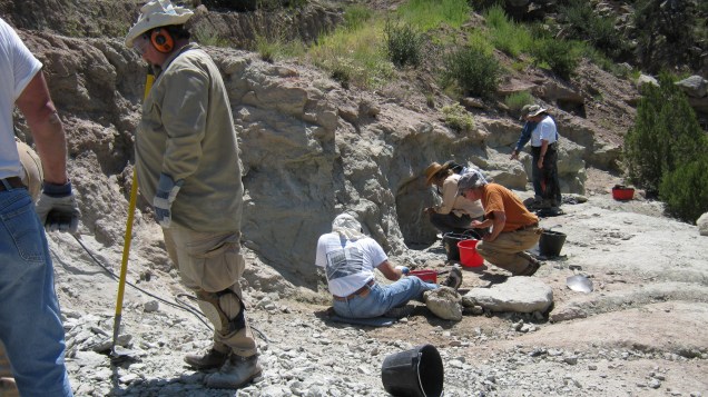 Episode 1 – The Field of Paleontology – The Common Descent Podcast