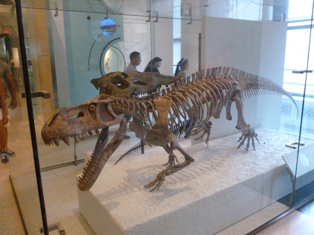 Episode 2 – Crocodilians Past and Present – The Common Descent Podcast