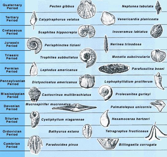Episode 12 – The Geologic Time Scale – The Common Descent Podcast