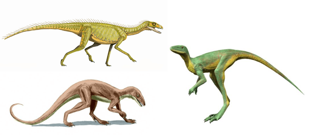 Episode 21 – Dinosaurs, an Introduction – The Common Descent Podcast