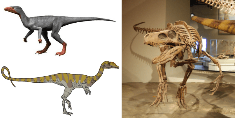 Episode 21 – Dinosaurs, an Introduction – The Common Descent Podcast