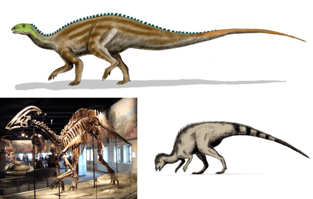 Episode 21 – Dinosaurs, an Introduction – The Common Descent Podcast