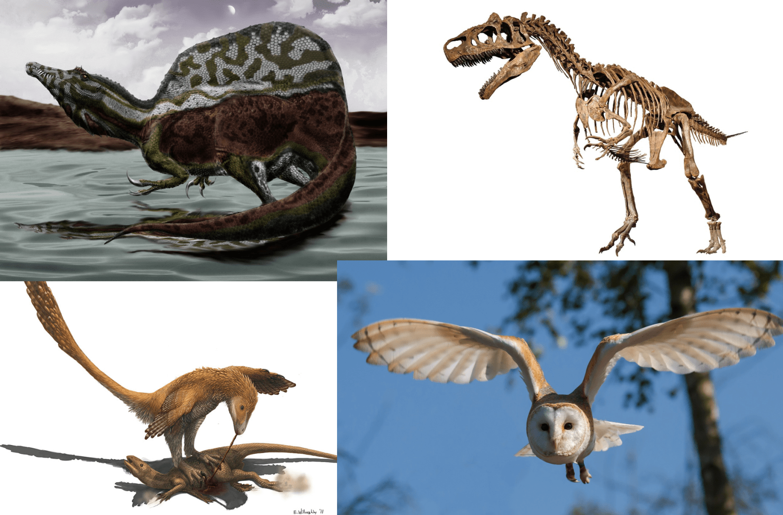 Episode 21 – Dinosaurs, an Introduction – The Common Descent Podcast