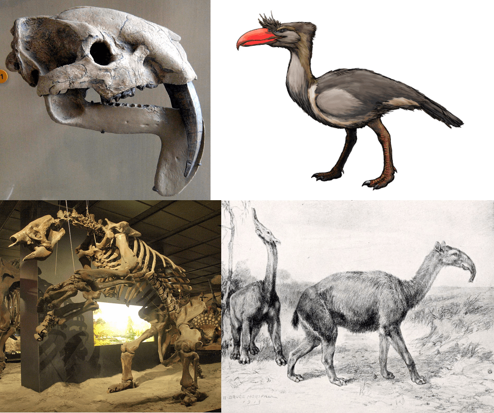 Episode 43 – The Great American Biotic Interchange (GABI) – The Common ...