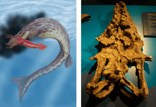 Episode 51 – Mosasaurs – The Common Descent Podcast