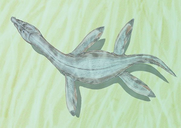 Episode 72 – Plesiosaurs – The Common Descent Podcast