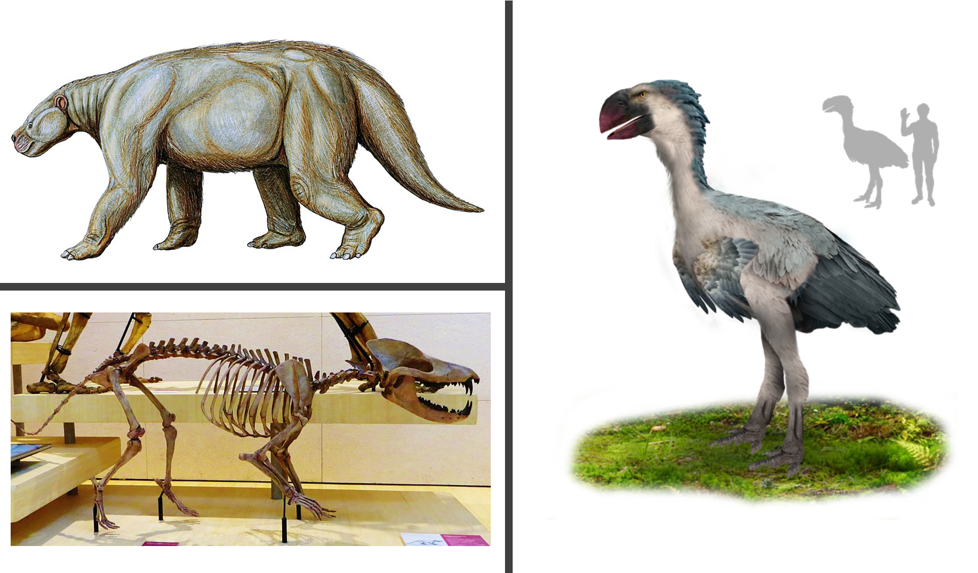 Episode 103 – The Paleocene-Eocene Thermal Maximum – The Common Descent ...