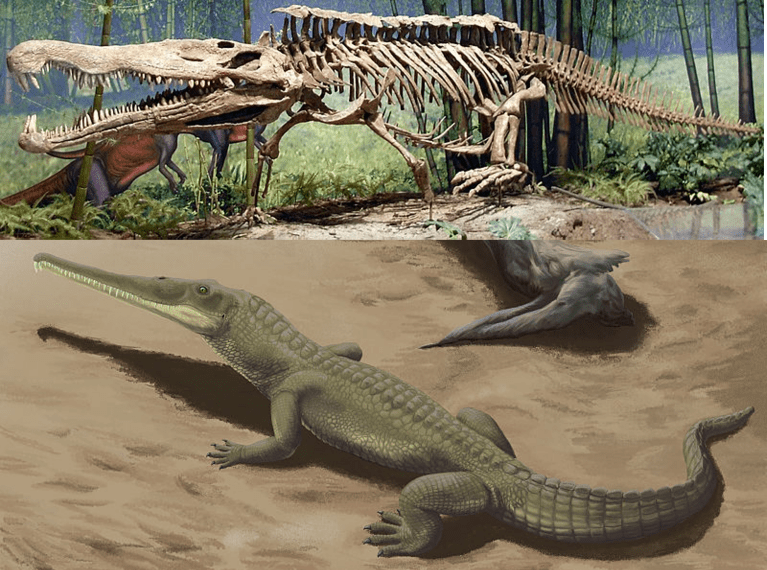 Episode 142 – Phytosaurs – The Common Descent Podcast