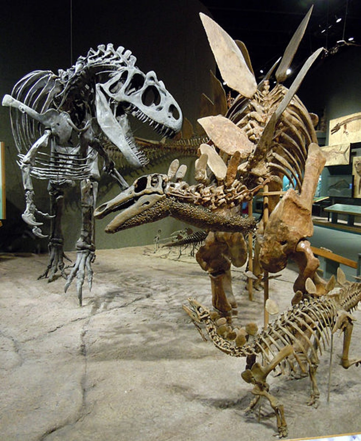 Episode 150 – Stegosaurs – The Common Descent Podcast