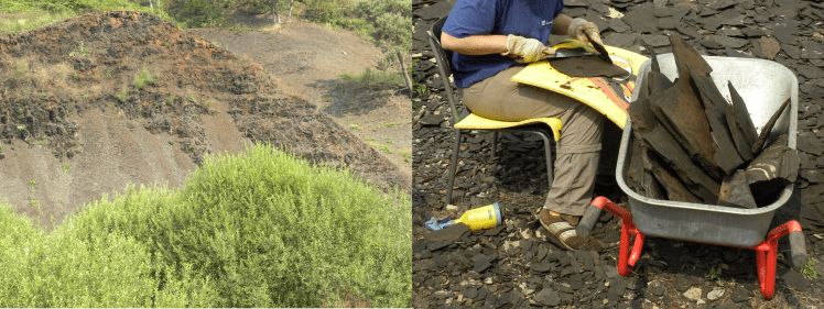 Episode 160 – The Messel Pit – The Common Descent Podcast