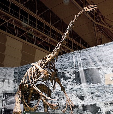 The Common Descent Podcast – Join David and Will as they explore the ...