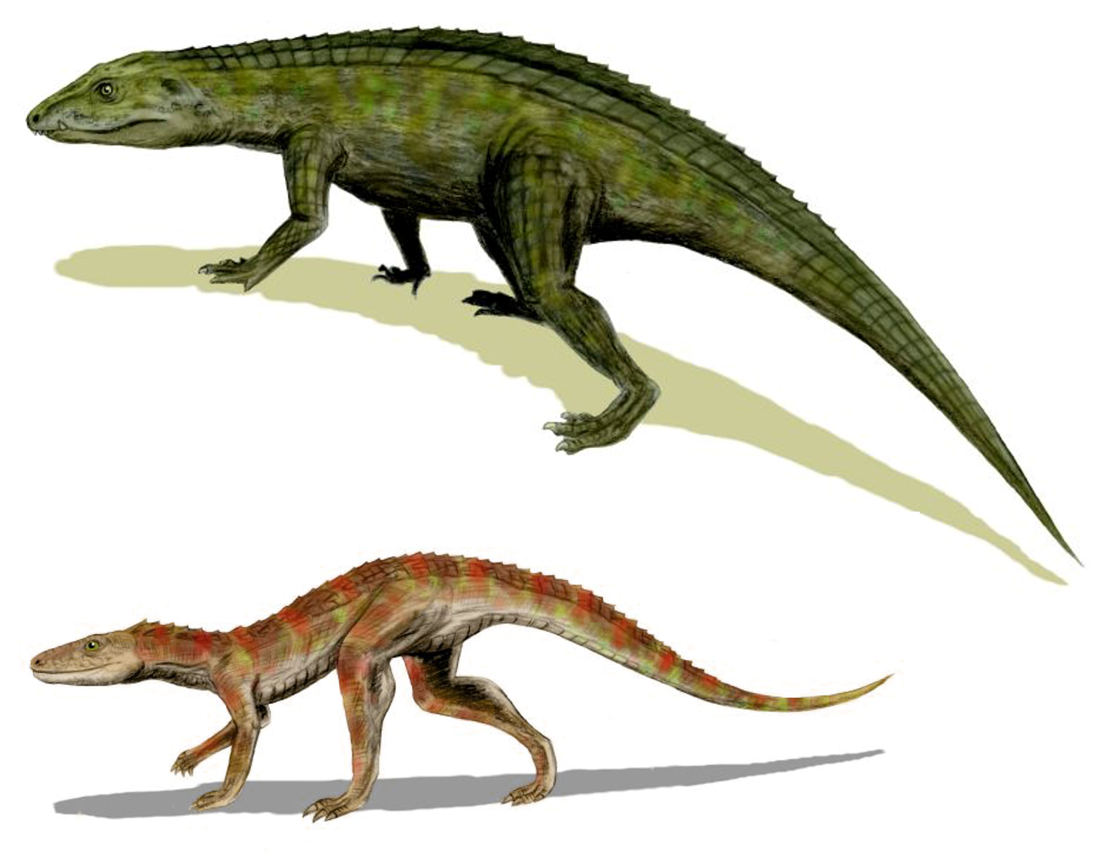 Episode 220 – Terrestrial Crocs – The Common Descent Podcast