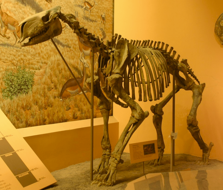 The Common Descent Podcast – Paleontology, evolution, and the history ...